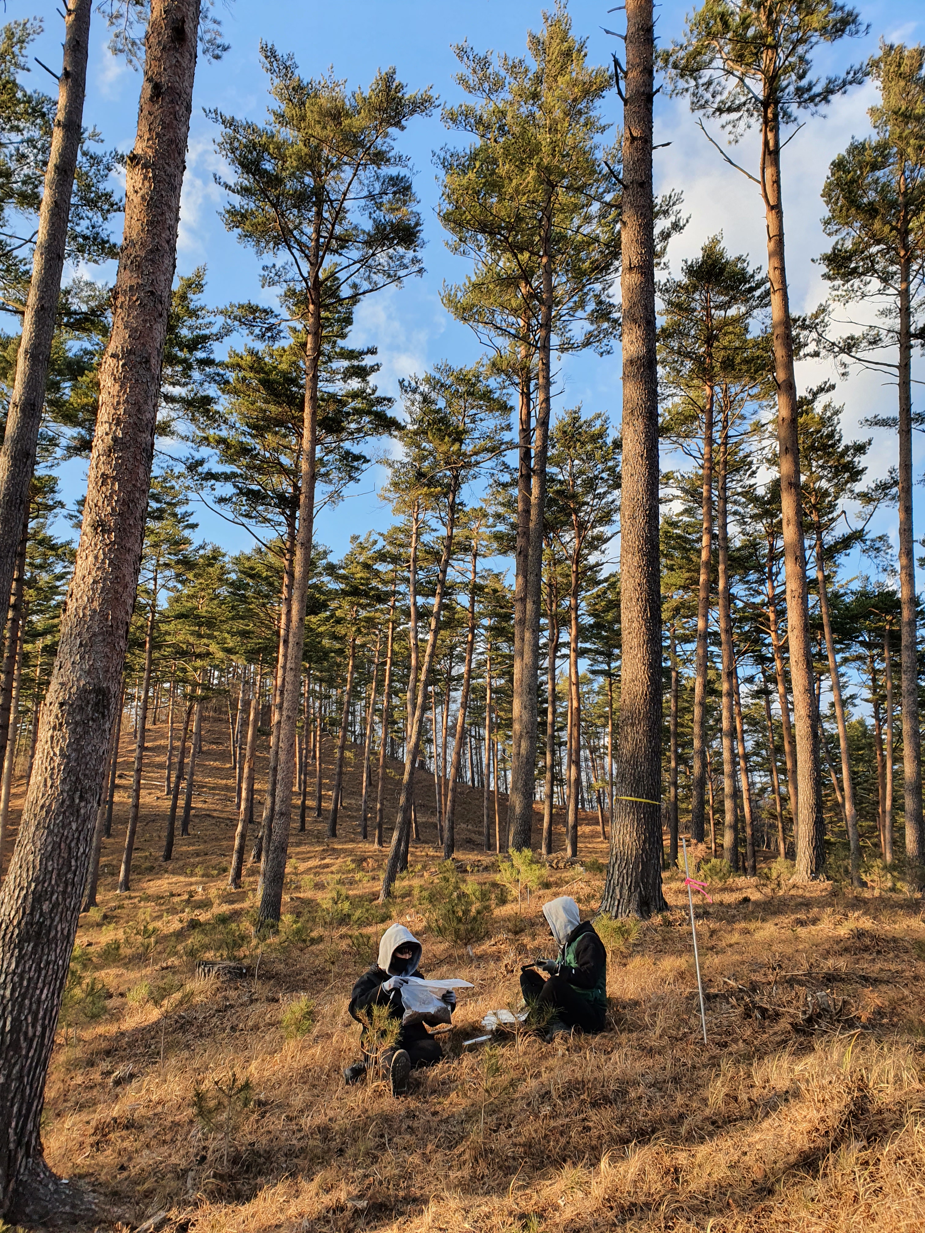 2021 | Forest Ecosystem Ecology Lab.